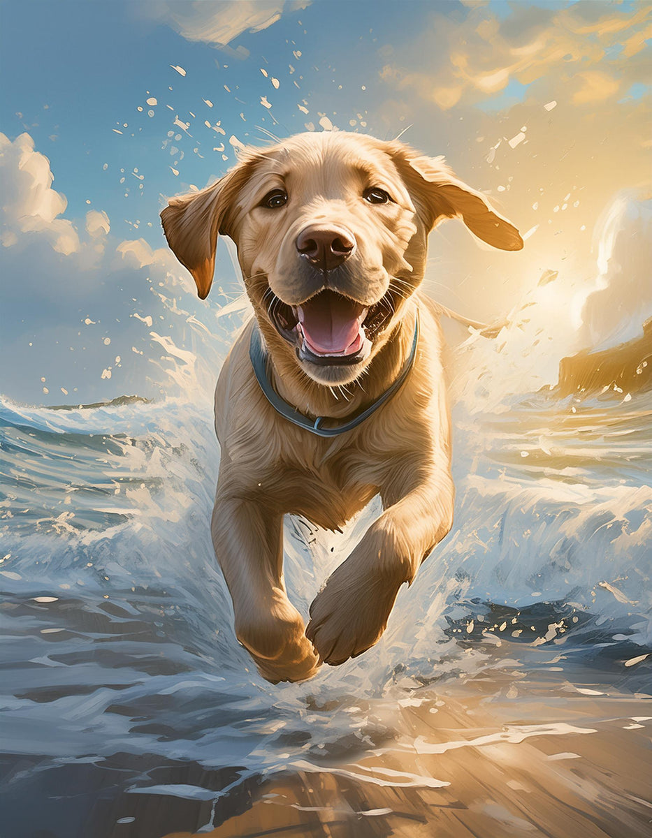 Diamond painting labrador hond in de zee | Painting Diamonds